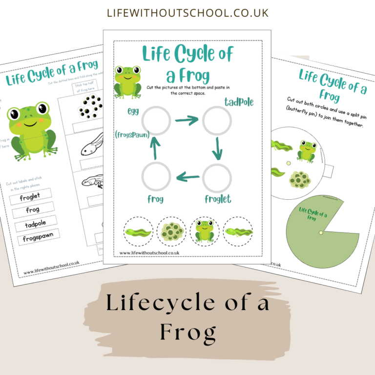 Lifecycle of a Frog Activity 3 Worksheets - Life Without School