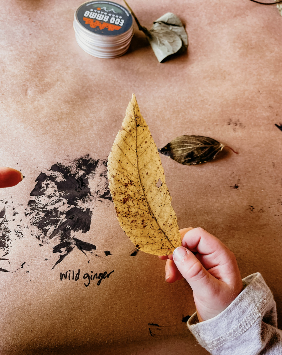 Autumn Nature Crafts - Life Without School