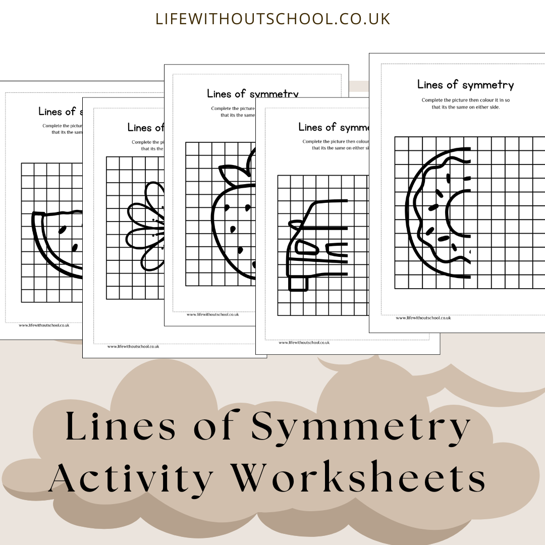Lines of Symmetry - Life Without School