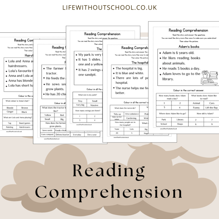 Reading Comprehension Worksheets - Life Without School