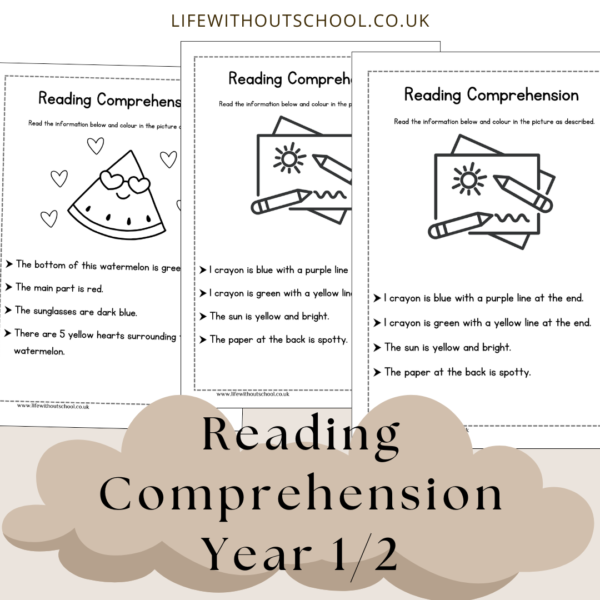 Free Reading Comprehension Worksheets - Life Without School